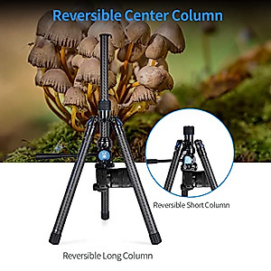 SIRUI Carbon Fiber Tripod Lightweight 2lbs with Panoramic Video Head, 59.8” Compact Camera Tripod Quick Release Leg Setup, Reversible Center Column, Reverse Folding Legs, Max Load 11lbs - Traveler X
