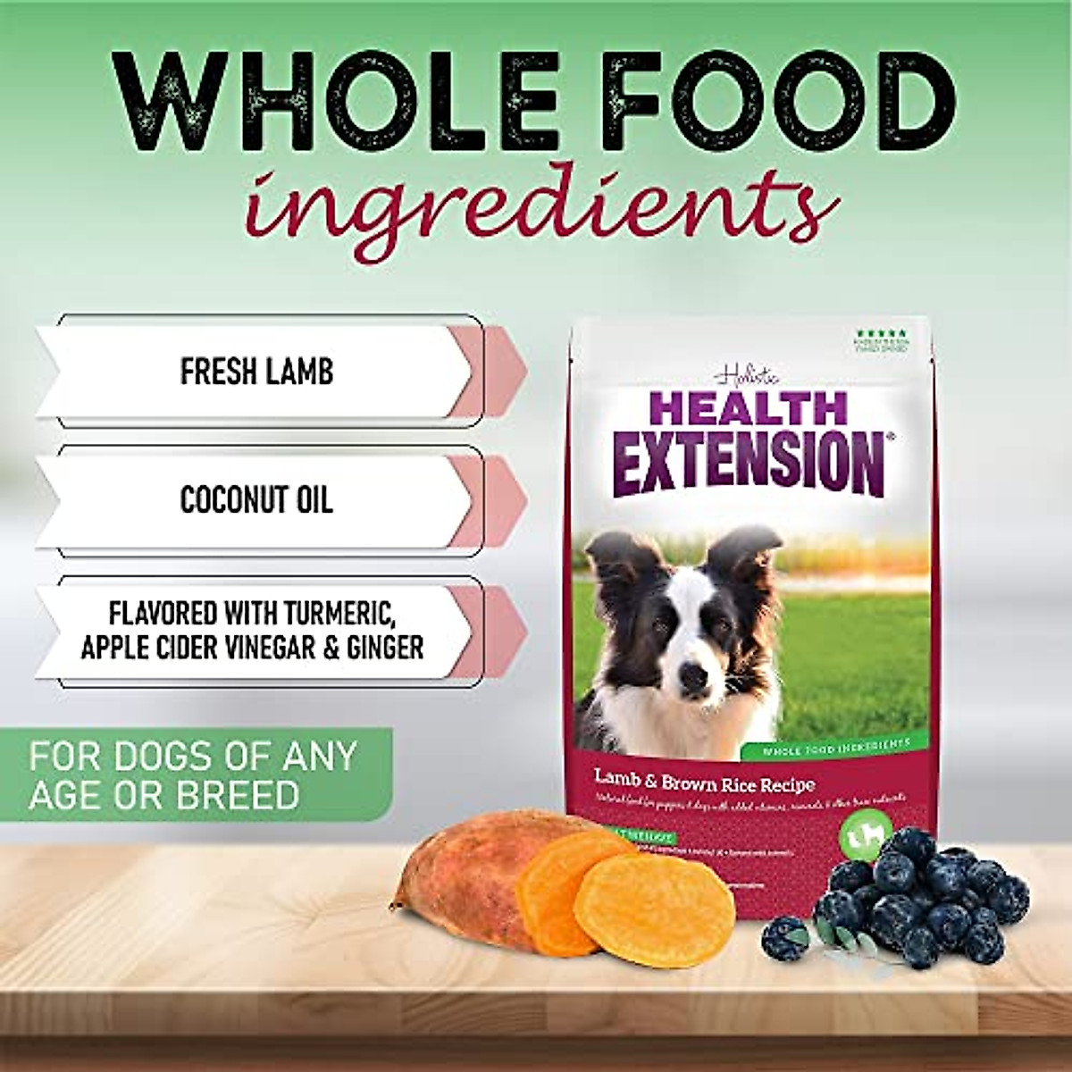 Health Extension Dry Dog Food, Natural Food for All Puppies & Dogs with Added Vitamins & Mineral, Lamb & Brown Rice Recipe (30 lb / 13.6 Kg)