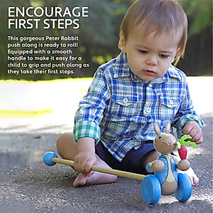 Orange Tree Toys Peter Rabbit Push Along