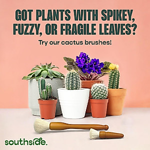 Plant Cleaning Wipes by Southside Plants - Gentle, Plant-Based Wipes for Shiny Leaves and Better Photosynthesis - Unscented, Extra Thick Waffle Weave Leaf Wipes for Indoor & Outdoor Plants - 80 Ct