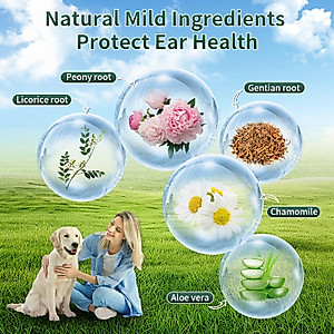 Borgobrufa Dog Ear Finger Wipes, Pet Ear Cleaner Wipes Disposable Natural Ear Relief Cleaning Pads Finger Sleeves for Dog Cat Remove Earwax Odor Soothe Ear Itching and Infection, Cat Ear Wipes, 55 Pcs