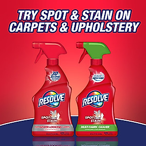 Resolve Pet High Traffic Carpet Foam, 22 oz, Cleans Freshens Softens & Removes Stains