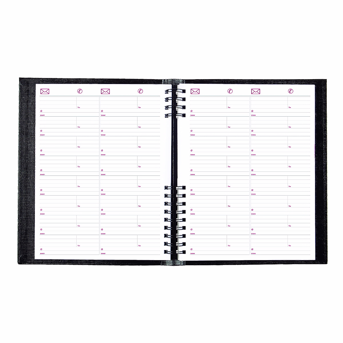 Brownline 2023 CoilPro Daily Professional Planner, Four-Person Appointment Book, 12 Months, January to December, Twin-Wire Binding, 11" x 8.5", Black (CB960C.BLK-23)