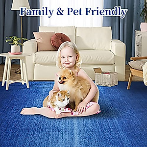 ROYHOME Modern Area Rugs Machine Washable Area Rug for Living Room Non-Shedding Stain Resistant Area Rug Ombre Non Slip Area Rug for Bedroom Dining Room Home Office, 8' x 10' Blue