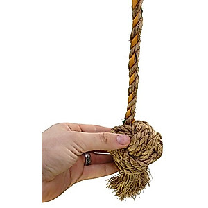 51205 Small Swing Around Bird Toy Cage Parrot Toys Cages Natural Foraging