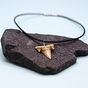 Natural Shark Tooth Necklace for Boys, Genuine Fossil Shark Teeth Jewelry for Men, Cool Beach Necklaces for Teen Girls, Beachy Surfer Necklace for Women