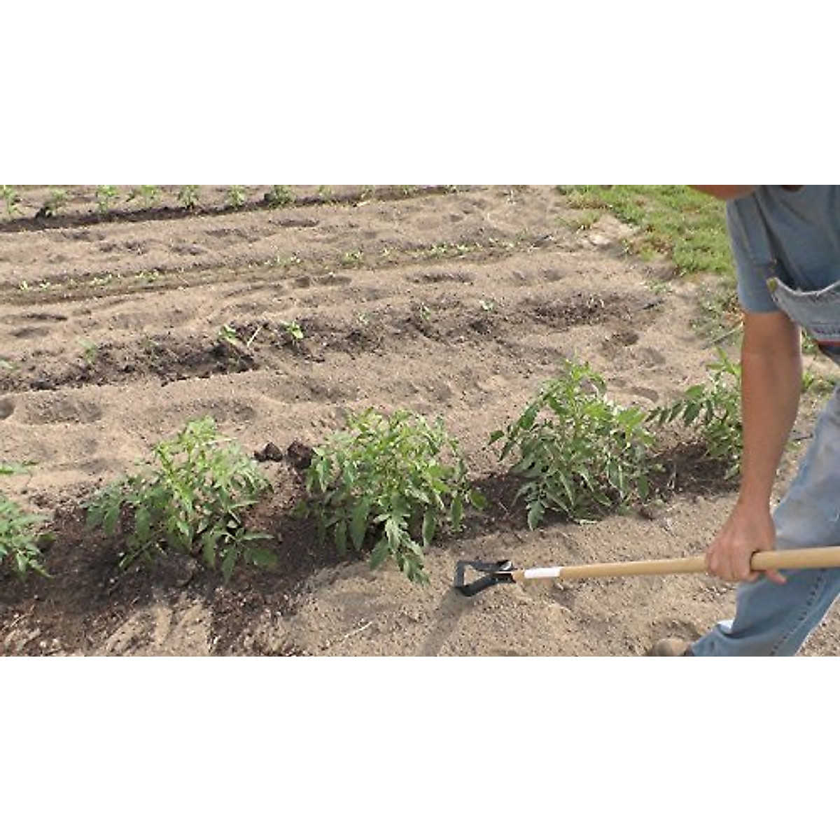 Hoss Tools Push Pull Hoe