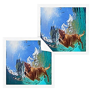 KEEPREAL 2 Pack Golden Labrador Retriever Washcloths Set - Highly Absorbent Pure Cotton Wash Clothes - Soft Fingertip Towel for Bath, Spa