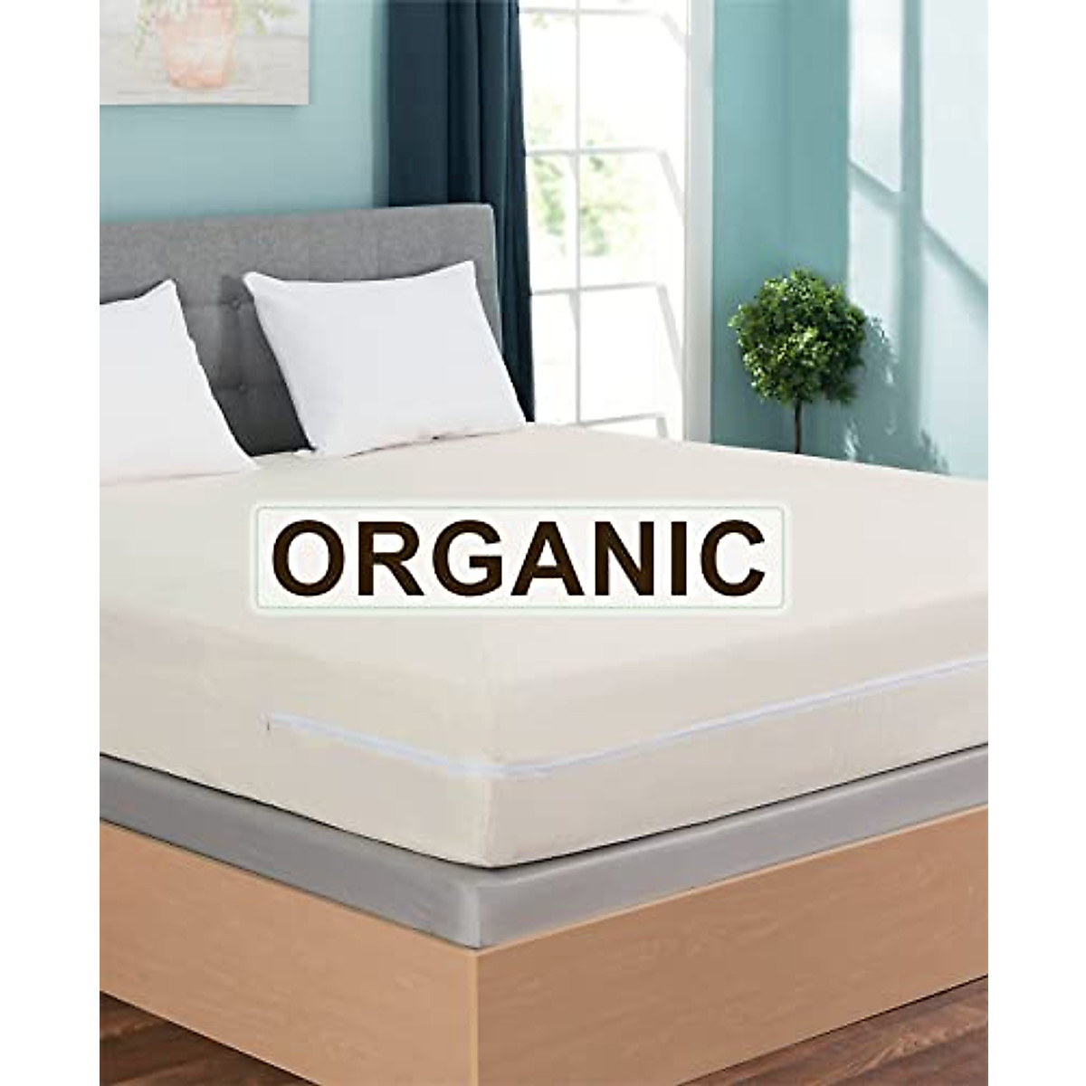 Bargoose AllergyCare Organic Cotton Zippered Mattress Encasement, 100% Organic Cotton, Hypoallergenic, Chemical Free, Blocks Dust Mites & More (9" Deep, Full)