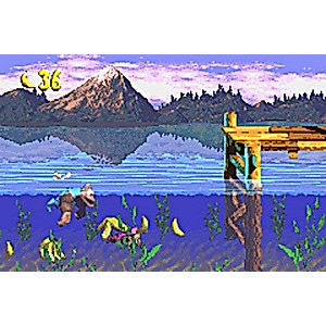 Donkey Kong Country 3 (Renewed)