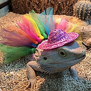 Ipetboom Bearded Dragon Costume Bearded Dragon Hat for Lizards Bearded Dragon Tutu Skirt Reptile Mini Deck Chair Small Pet Costume Outfits Clothes Photo Props for Lizards Geckos Hamsters Rats