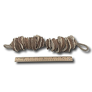 Top Dog Chews - Non GMO Sweet Potato Dog Chew - Product of The USA (X Large)