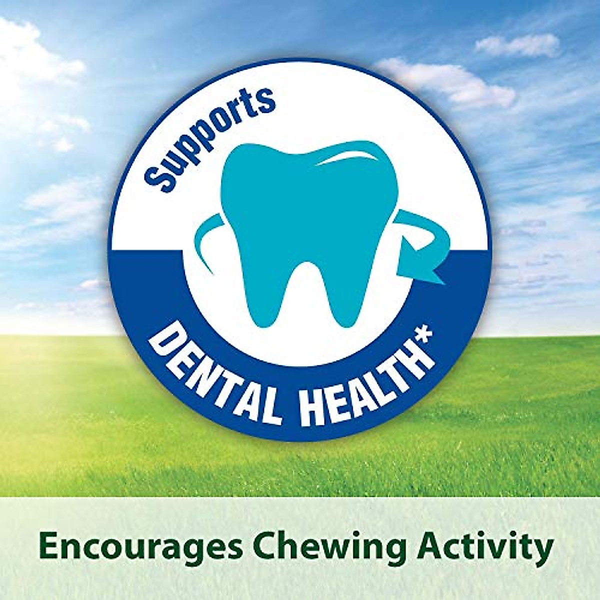 Kaytee Forti-Diet Pro Health Adult Rabbit Food 25lb