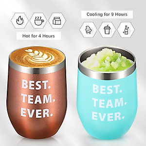 Pinkunn 8 Pcs Best Team Ever Tumblers Thank You Employee Appreciation Gifts Stainless Steel Insulated Wine Tumbler Christmas Team Gifts with Lid and Straw for Coworkers Women Men, 12 oz(Black)
