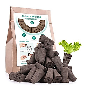 60 Pack Replacement Grow Sponges, Seed Pod Kit Seed Starter Pods Hydroponics Sponges Grow Sponges for Hydroponics Root Growth Sponges Refill Pods for Hydroponic Growing System Indoor Garden, Square