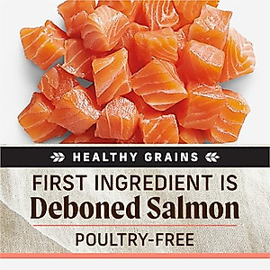 Merrick Backcountry Healthy Grains Premium Dog Food Kibble with Freeze Dried Raw Pieces, Pacific Catch Recipe - 4.0 lb. Bag