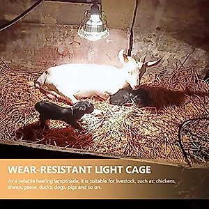 PATKAW 3 Pcs Industrial Vintage Style Light Cage Antique Lamp Holders Reptile Heat Lamp Guard Metal Lamp Shade for Pets Reptile Terrarium Lizards Golden