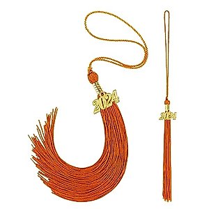 2 Pcs 2024 Tassel, 24 Tassel Graduation, Orange 2024 Tassel, Tassel Toppers Graduation Caps, Graduation Memorial Tassel Charm, 2024 Tassel Graduation Charm 2 Pcs