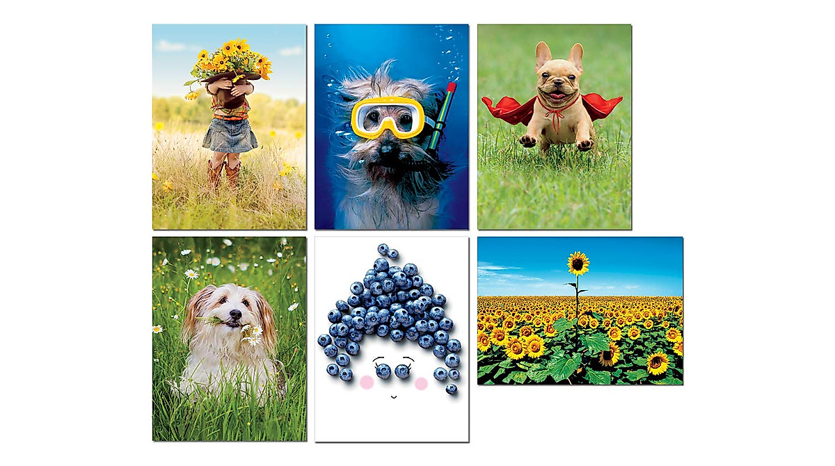 Avanti Press Thank You Greeting Card Pack - 6 Colorful Cards To ...
