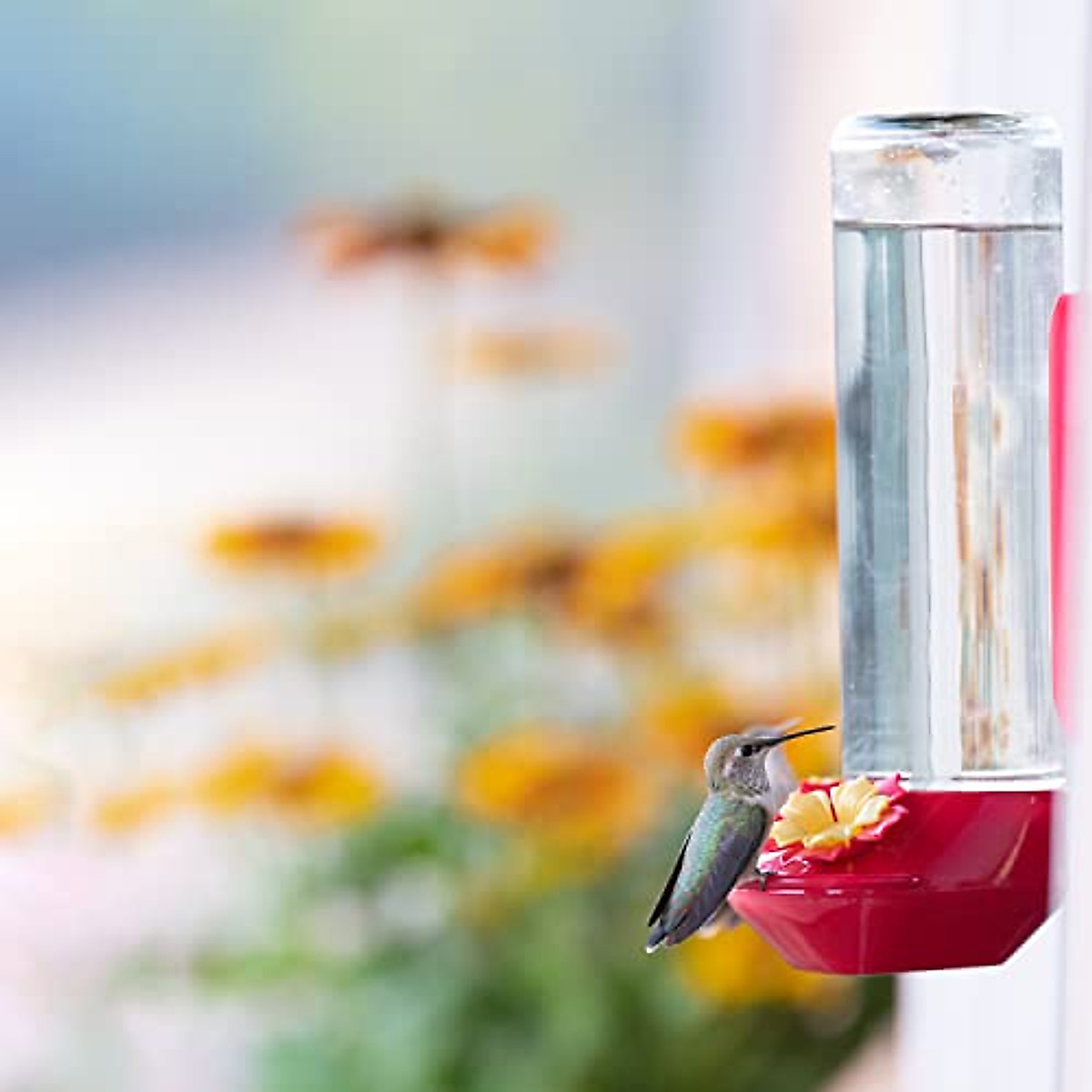 Perky-Pet 455-2 Mounted 445-2 Glass Window Hummingbird Feeder, Red – 14 oz