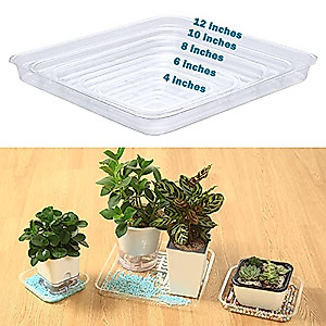 UltraOutlet 20 Pack Square Plant Saucer Plant Trays for Pots 12 Inch Plant Saucers for Outdoors and Indoor Clear Plant Pot Saucers Flower Pot Saucers to Catch Water Drip Tray (20, 12 in)