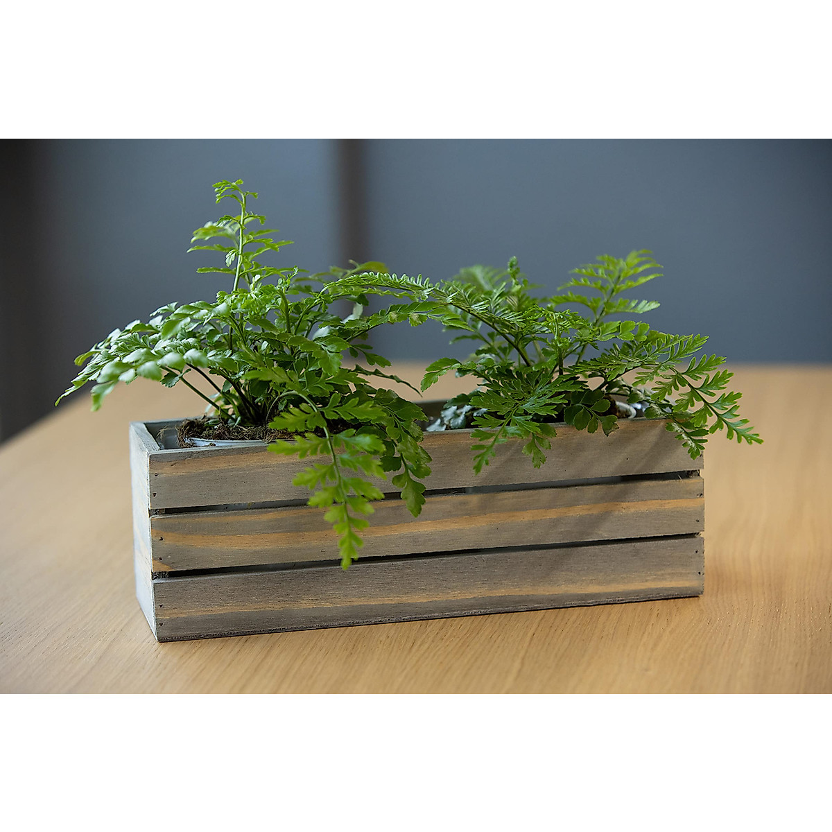 Wood Planter Box with Wine Crate Styled, 12x4 Inch Rectangular, Rustic Barn Wood, Plastic Liner, Wedding Flowers Holder, Home and Venue (12x4 Wine Crate Set of 4, Natural)