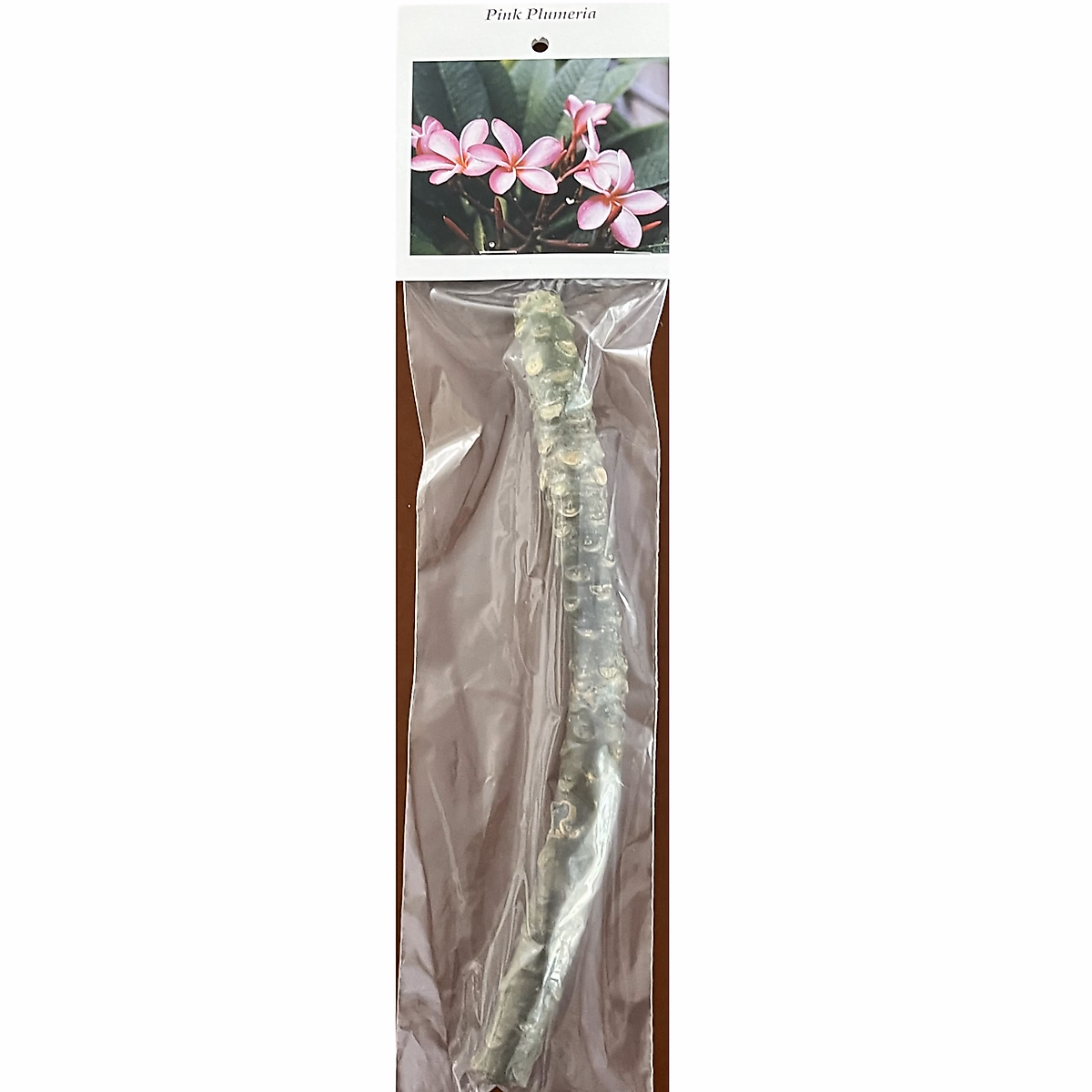 Hawaiian Pink Plumeria Frangipani 1 Cutting DL9