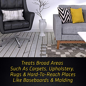 Black Flag Flea & Tick Killer Home Treatment with Growth Regulator Spray, 1 gallon