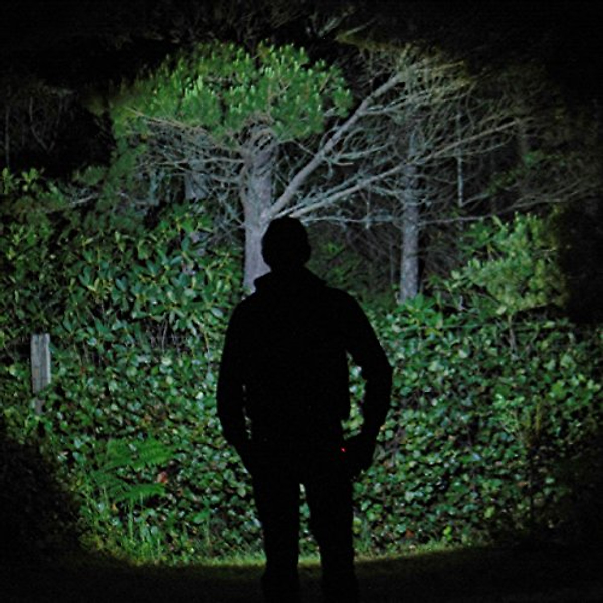 Outdoor Pro Gear LED Headlamp Flashlight [3-AA Batteries Included] Magnifying Lens, Head Lamp for Camping, Caving, Search & Rescue, Super Bright Spotlight Headlight, Emergency Supplies (Blue)