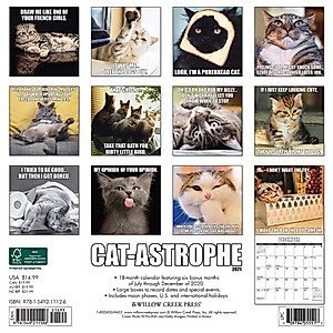 Cat-Astrophe 2021 Wall Calendar