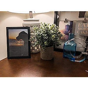 Winlyn Set of 3 Mini Potted Artificial Eucalyptus Plants Plastic Fake Green Rosemary Plant for Home Decor Office Desk Shower Room Decoration