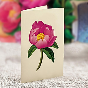 Freshcut Paper Pop Up Cards, Peony Paradise 12 inch Paper Flower Bouquet Greeting Cards with Blank Note Card & Envelope, Birthday Gifts for Women