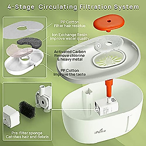 iPettie Avocado Pet Water Fountain with LED Light, 67oz/2.0L, Ultra Quiet Cat Water Fountain with Filter, Automatic Pet Water Fountain for Cats and Small Dogs, White