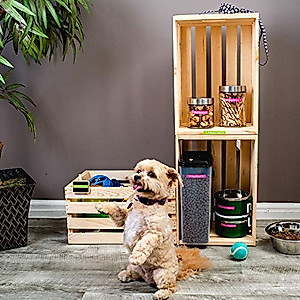 Brother P-Touch Home Personal Label Maker - PT-D202