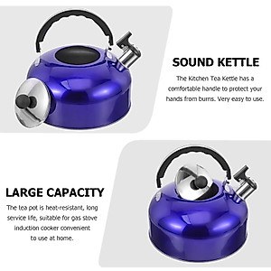 BESTonZON Whistling Tea Kettle Tea Bottle Stainless Steel Stovetop Teapot 4L Camping Water Kettle Kitchen Coffee Kettle Metal Water Pot with Cool Handle for Home Office Blue