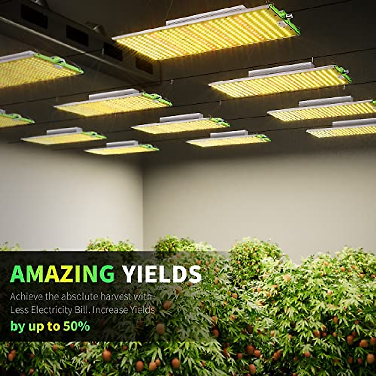 BESTVA 2023 Upgraded BP2000 LED Grow Light with High Yield Diodes & Dimmable Full Spectrum Plant Light for Indoor Plants Seedling Veg and Bloom Grow Lamp for Grow Tent