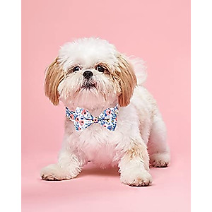 Bow Tie Dog Collar for Small Medium Large Dogs, Comfy Puppy Collars, Adjustable Pure Cotton Dog Collars for Girl and Boy Dog, Pink Dog Collar, Collar para Perros. (S, Pink)