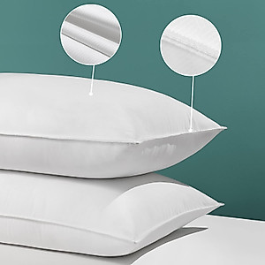 HARBOREST Bed Pillows Standard Size Set of 2 - Luxury Hotel Collection Down Alternative Pillows for Sleeping, 20 x 26 Inches