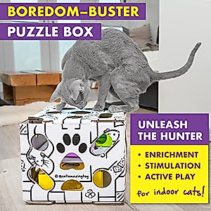 Cat Amazing Sliders – Cat Puzzle Toy for Indoor Cats – Cat Treat Puzzle Box – Interactive Treat Maze – Cat Enrichment Feeder – Food Puzzle – Best Cat Toy Ever!