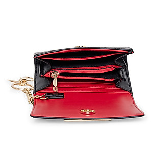 ALDO Women's Iconipouch Wallet, Black