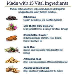 Rx Vitamins Rx Renal Canine Kidney Support for Dogs - Milk Thistle Extract, Green Tea, & Cordyceps Capsules for Dogs - Dog Kidney Support Supplement - 120 ct