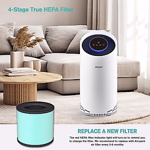 Airspark True HEPA Air Purifier Replacement Filter, Compatible with AS300 AS200 Air Purifiers, 4-in-1 H13 True HEPA Filter Replacement for Pets Smoke Pollen Dander