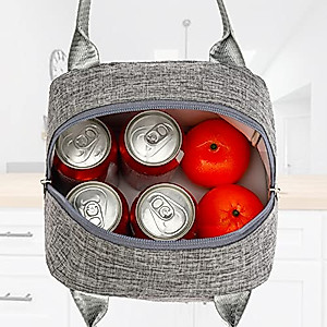 FlowFly Lunch Bag Tote Bag Lunch Organizer Lunch Holder Insulated Lunch Cooler Bag for Women/Men,Heather Grey