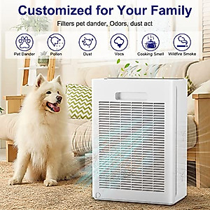 Air Purifiers for Home Large Room up to 1740ft², H13 True HEPA Air Filter for Allergies, Pets Hair, Pollen, Dander, Smoke, Smell, Sleep Mode, 5 Timer, Auto Mode Quiet Air Cleaner for Bedroom, Kicthen