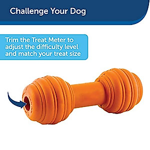 PetSafe Sportsmen Chuckle Interactive Dog Toy with Noise Maker - Use with Food or Treats