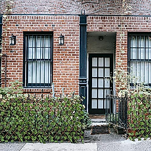 Veryhome Expandable Privacy Fence Screen Outdoor for Balcony Patio, Faux Ivy Fencing Panel, Artificial Hedges for Garden Backdrop Porch Pool Backyard - 2 Pack