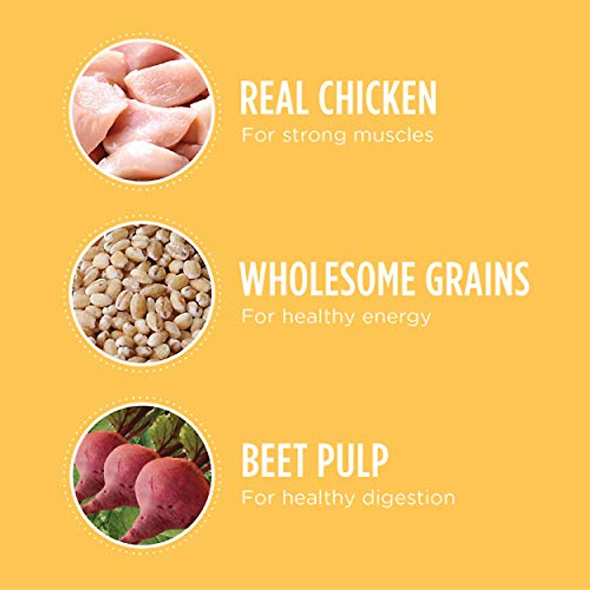 IAMS Smart Puppy Large Breed Dry Puppy Food with Real Chicken, 30.6 lb. Bag