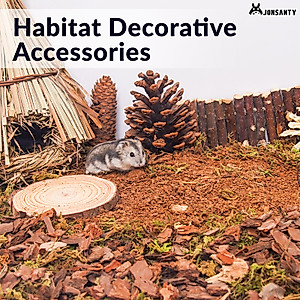 JONSΛNTY 3L Natural Coconut Coir Bedding, Small Animal Bedding for Hamster, Reptile, Tortoise, Frogs, Snakes, Hermit Crabs, Burrowing Animals, Clean, Cozy, Odor Control, Absorbent, for Cage, Terrarium