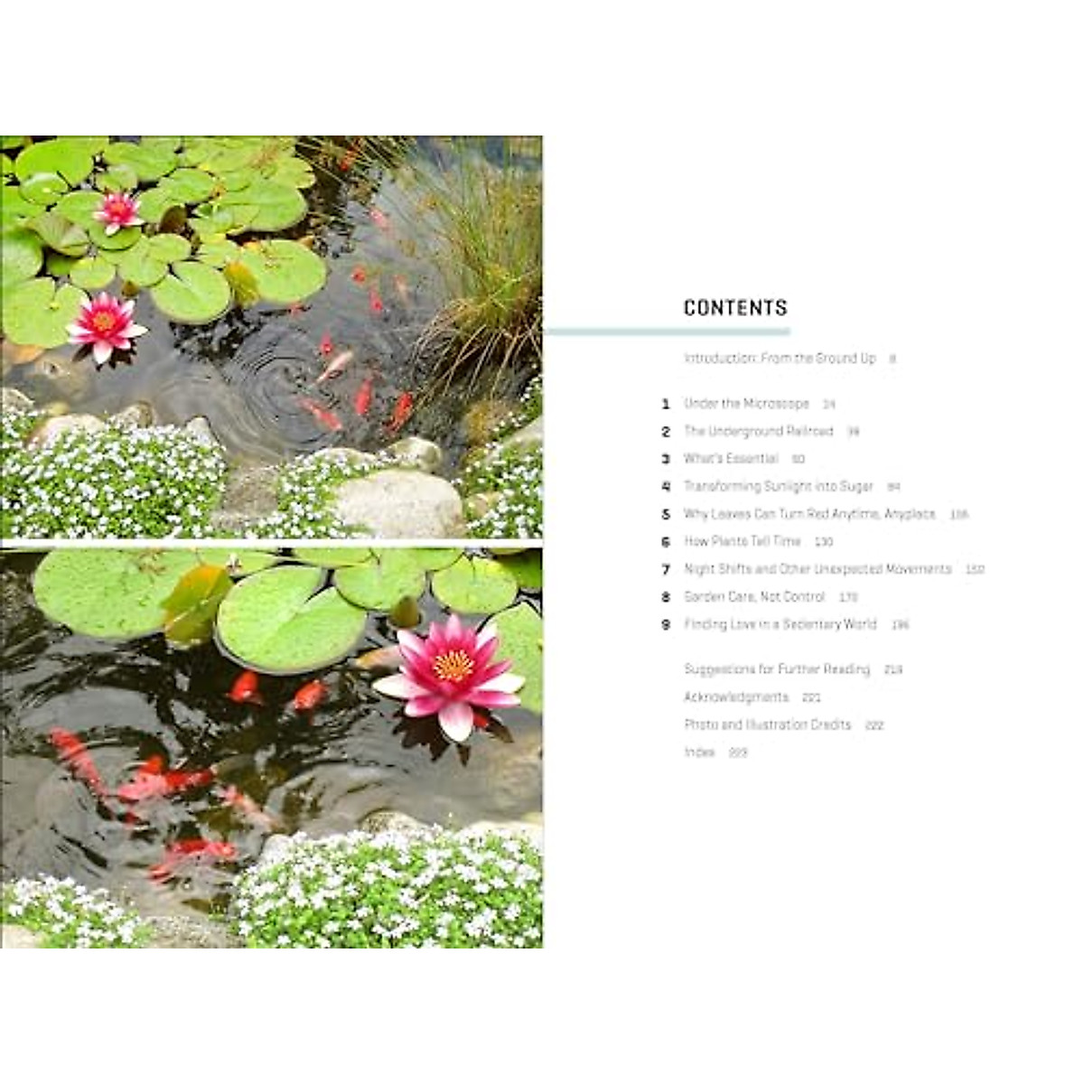 How Plants Work: The Science Behind the Amazing Things Plants Do (Science for Gardeners)