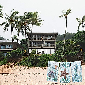 Kay Dee Designs Set of 3 Beachcomber Dual Purpose Terry Kitchen Towels